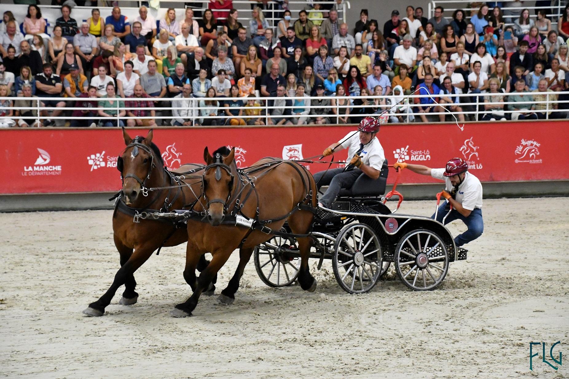 Accueil | Syndicat National des Éleveurs et Utilisateurs de Chevaux Cob ...